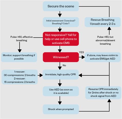 Pediatric Bls Algorithm Step By Step Life Support Guide