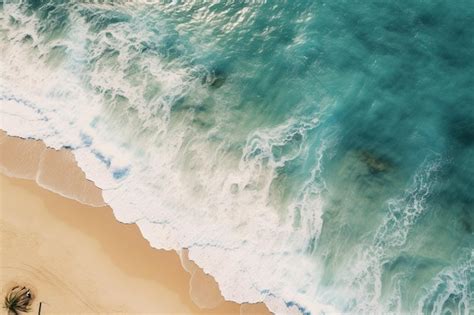 Premium Photo Beach With Trees