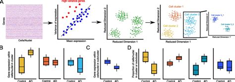 General Analytical Workflow For Large Scale Single Cellnucleus Rna Seq Download Scientific