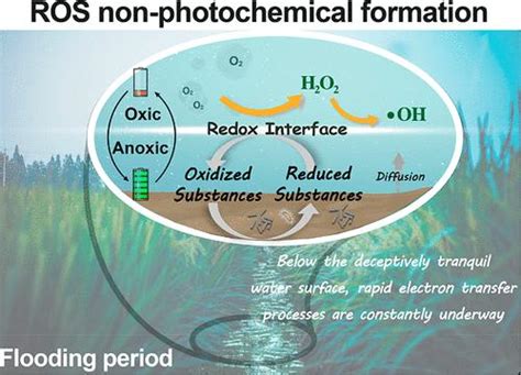 稻田土壤 水界面的强烈物质交换促进上覆水中活性氧的非光化学形成 Environmental Science And Technology X Mol