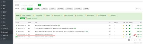 flask python 从零开始上手 部署 腾讯云轻量应用服务器 腾讯云服务器windows系统 配置python flask csdn博客