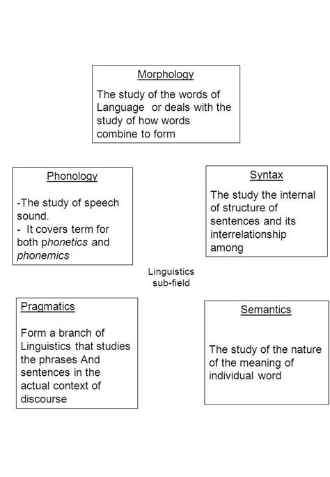 What Is Morphology Definition Speech And Language Essay Writing