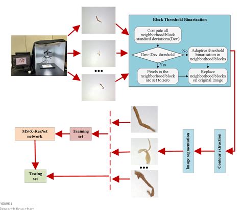 Figure 1 From Tobacco Shred Varieties Classification Using Multi Scale X Resnet Network And