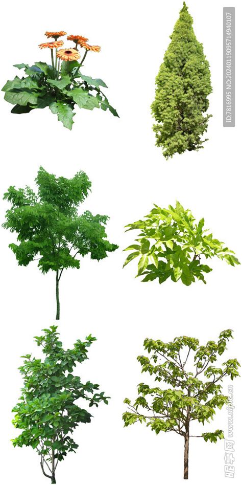 景观绿植设计图广告设计广告设计设计图库昵图网