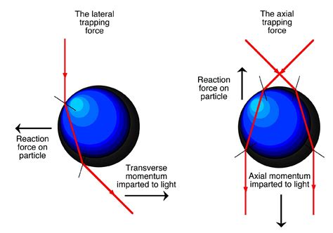 Optical Tweezers Move Nano Objects Part 1 The Principles Electrical Engineering News And