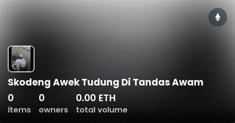 Skodeng Awek Tudung Di Tandas Awam Collection Opensea