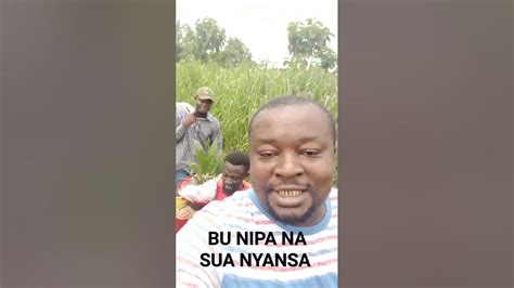 Bu Nipa Na Sua Nyansa Youtube
