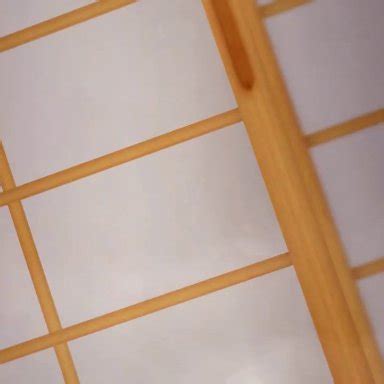 Rule 34 XYZ Fate Grand Order Fate Series Tomoe Gozen Fate Negakura Imu 1babe