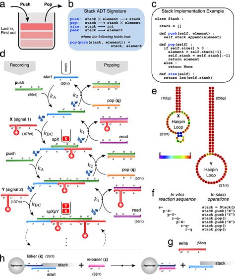 A Last In First Out Stack Data Structure Implemented In Vitro With Nine