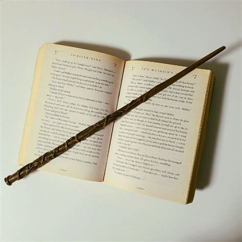 헤르미온느 지팡이 콜리 Colley