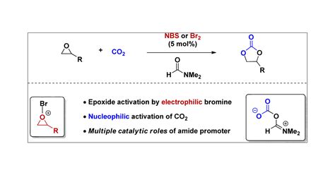 Metal Catalyst For Co2 Capture And Conversion Into Cyclic 53 Off