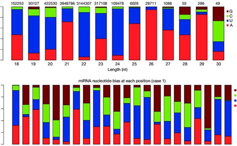 The Nucleotide Distribution Of Novel Mirnas A The Nucleotide Download Scientific Diagram