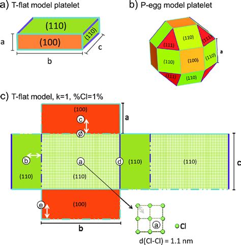 Scheme Of Platelet Model Morphology For T Flat A And P Egg B