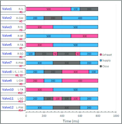 Muscle Activation Pattern For The Slip Turning Motion On The Toe Joint Download Scientific