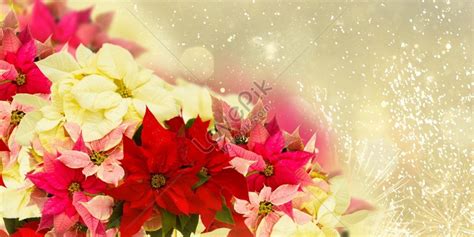 테두리와 프레임 이미지 사진 및 Png 일러스트 무료 다운로드 Lovepik