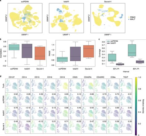 Protein Expression Prediction In The Malt Dataset Using The Seurat 4