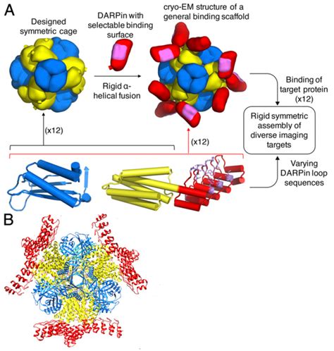 Protein Engineering And Structure Determination Oxford Protein Informatics Group