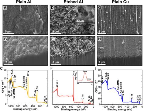 Unveiling The Fundamentals Of Flow Boiling Heat Transfer Enhancement On