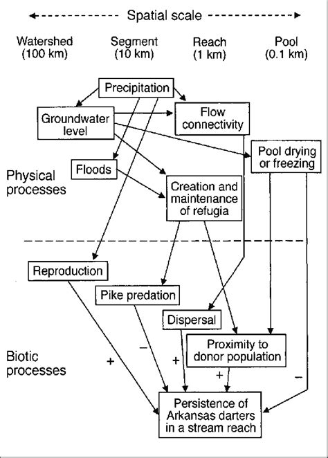 A Conceptual Model Of Physical Processes That Interact Across Multiple