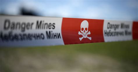 Заміновані території вплив мін на екологію та запобіжні заходи
