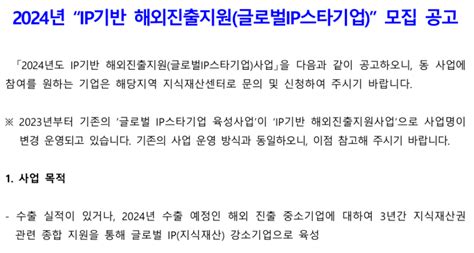 세종 2024년 Ip기반 해외진출지원글로벌ip스타기업 모집 공고 정부지원사업 사이트 안내 및 종류