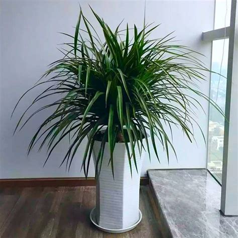 玉祥公司客服联系方式微 99669841