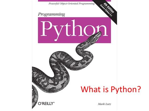 Учебник по питону для начинающих Самоучитель Python Python 3 для