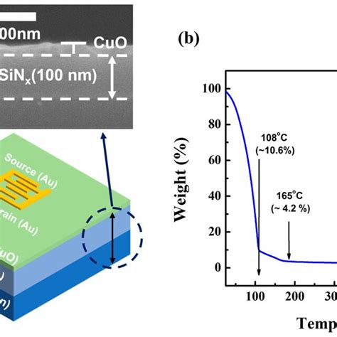 A Schematic Representation Of The Fabricated Cuo Tft The Inset