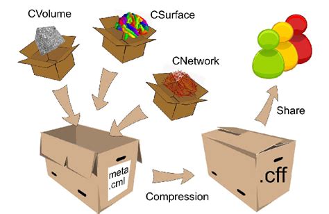 Figure 2 From The Connectome Viewer Toolkit An Open Source Framework