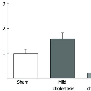 The Kinetic Parameters Of The Midazolam Hydroxylation Reactions In The Download Scientific