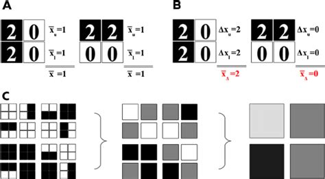 Schematic Representation Of The Haar Wavelet Transformation A B Download Scientific Diagram