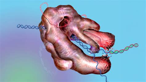 Functional Genomic Screening Services Revvity