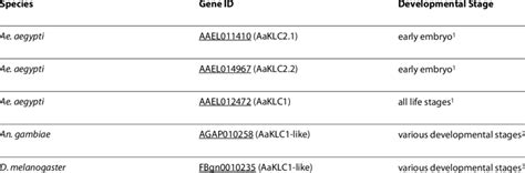 Evidence For Expression Of Kinesin Light Chain Genes Download Table