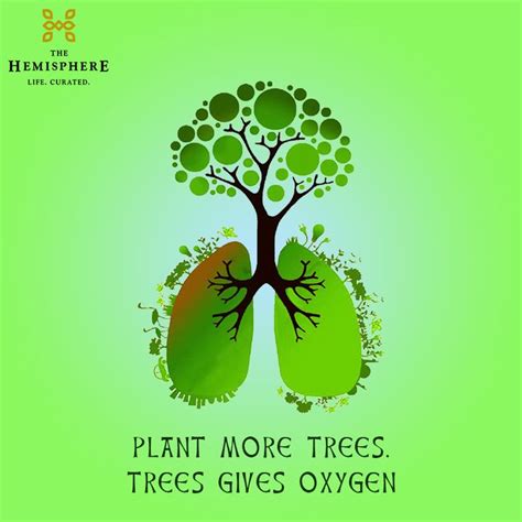 Grow More Trees For A Greener Earth