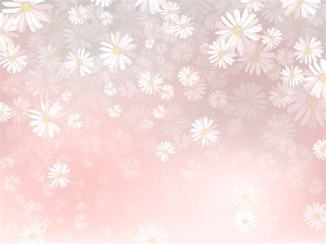 Premium Vector Spring Background With Chamomile Flowers