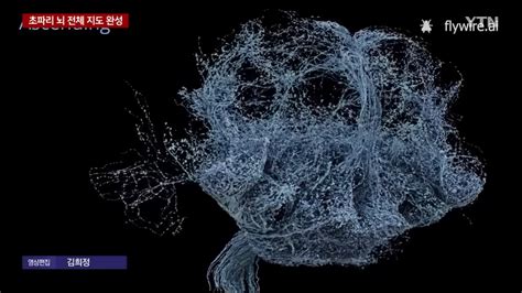 사람과 닮은 초파리 뇌 전체 지도 완성함 ㄷㄷ  포텐 터짐 화제순 에펨코리아