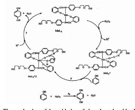 Figure 1 1 From Transition Metal Complexes Of Quinoxaline Based Schiff Base Ligands Synthesis