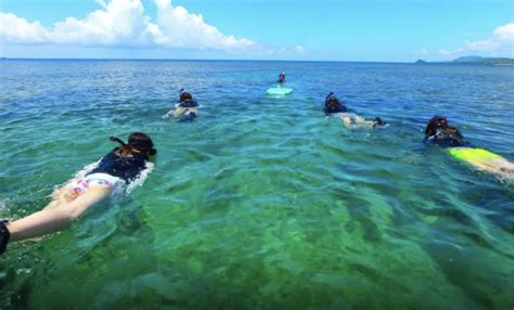 【오키나와 이시가키 섬】푸른 동굴과 추라우미 스노클링 체험 1시간 반의 부담 코스 【1세부터 참가 가능】 Kkday