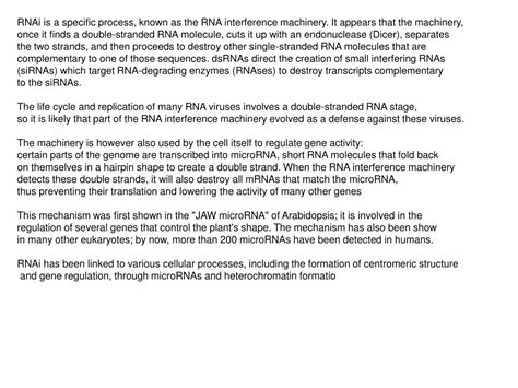 Ppt Rna Interference Powerpoint Presentation Free Download Id314739