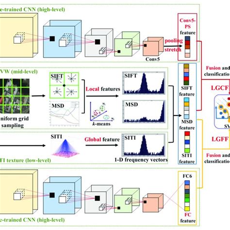 flowchart of scene classification based on the deep local global