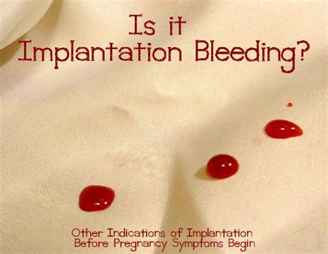 Right Before Period Implantation Bleeding Confused About Whether