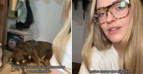 Ucraniana Arremete Contra Poblanos Por Lanzar Fuegos Artificiales “es