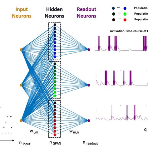 Network Architecture Of The Proposed Evolving Spike Pattern Association Download Scientific
