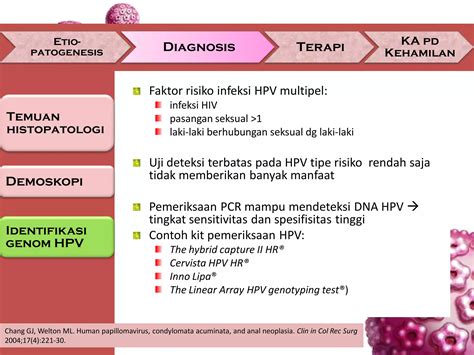 Presentation Kondiloma Akuminata Pdf