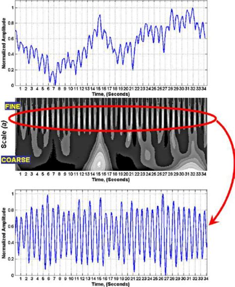Experimental Setup The Thermal Sensor Used In The Experiments For This Download Scientific