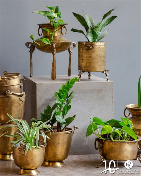 32 Best Wall Hanging Planters For Beautiful And Attractive Garden Decor