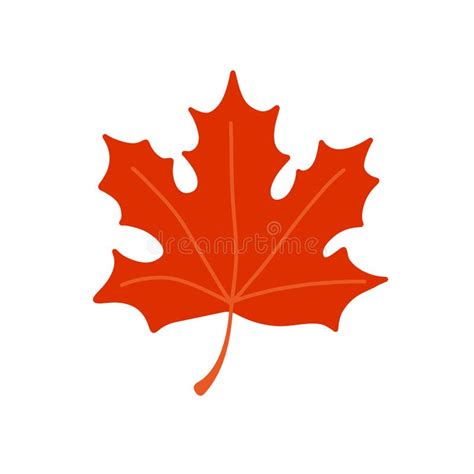 Autumn Red Maple Leaf Flat Vector Illustration Or Icon Isolated On White Background Stock