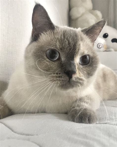 Sou On Twitter お久しぶりです