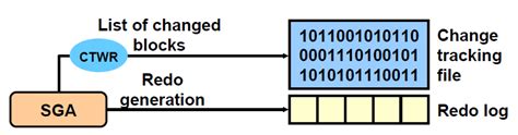 How Does Rman Backup Improve Performance By Block Change Tracking