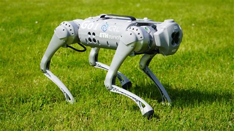 Бионический робот собака Go1 Pro Аренда и продажа роботов